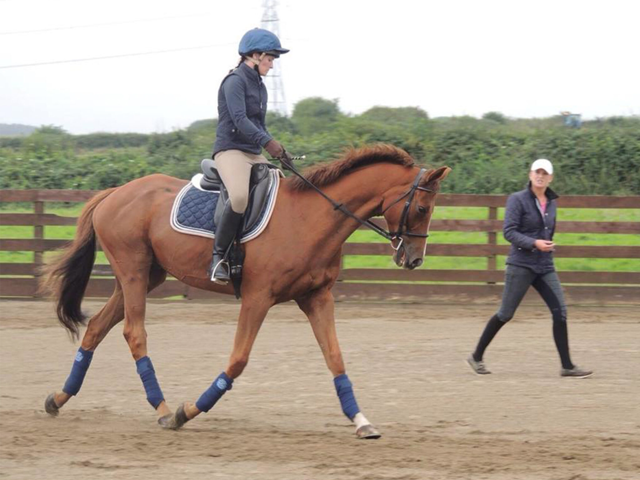 Retired Horses – Tim Vaughan Racing