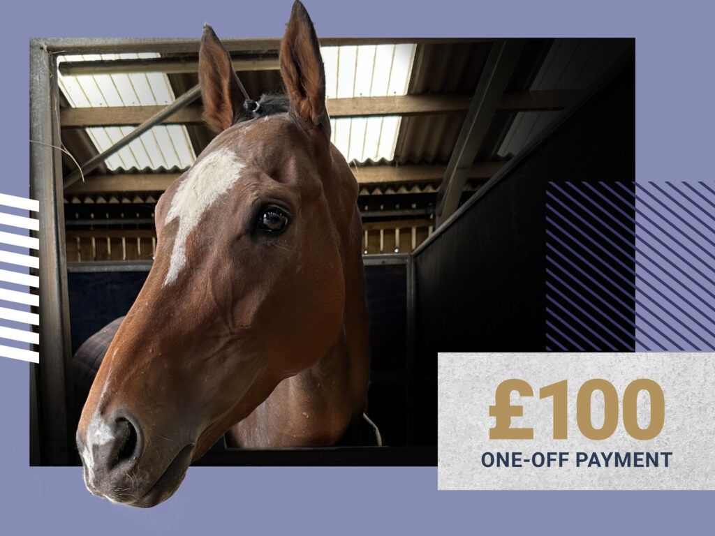 Tim Vaughan Racing – Tim Vaughan Racing