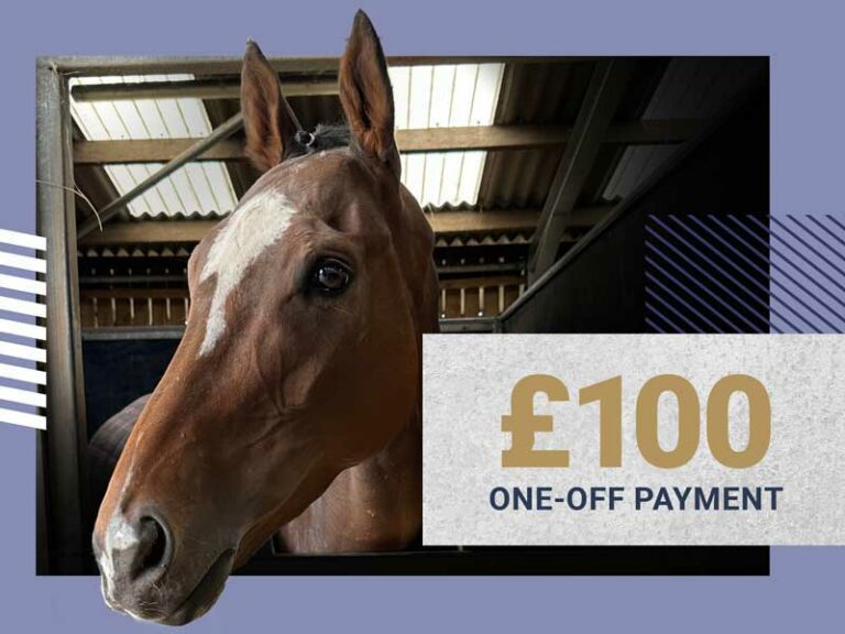 Tim Vaughan Racing – Tim Vaughan Racing