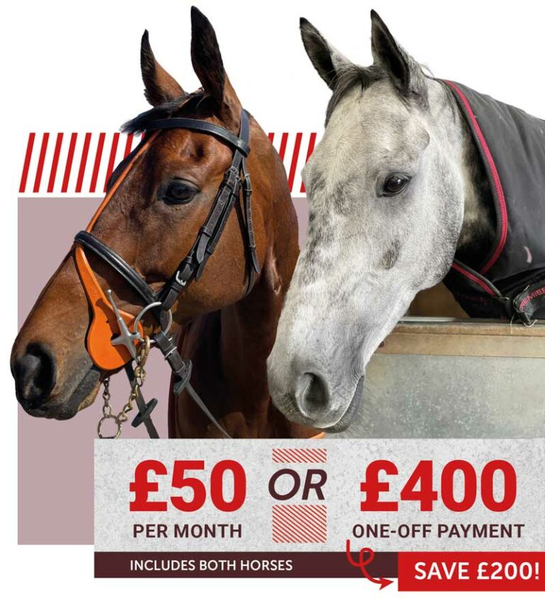 Tim Vaughan Racing Club Ultimate – Tim Vaughan Racing